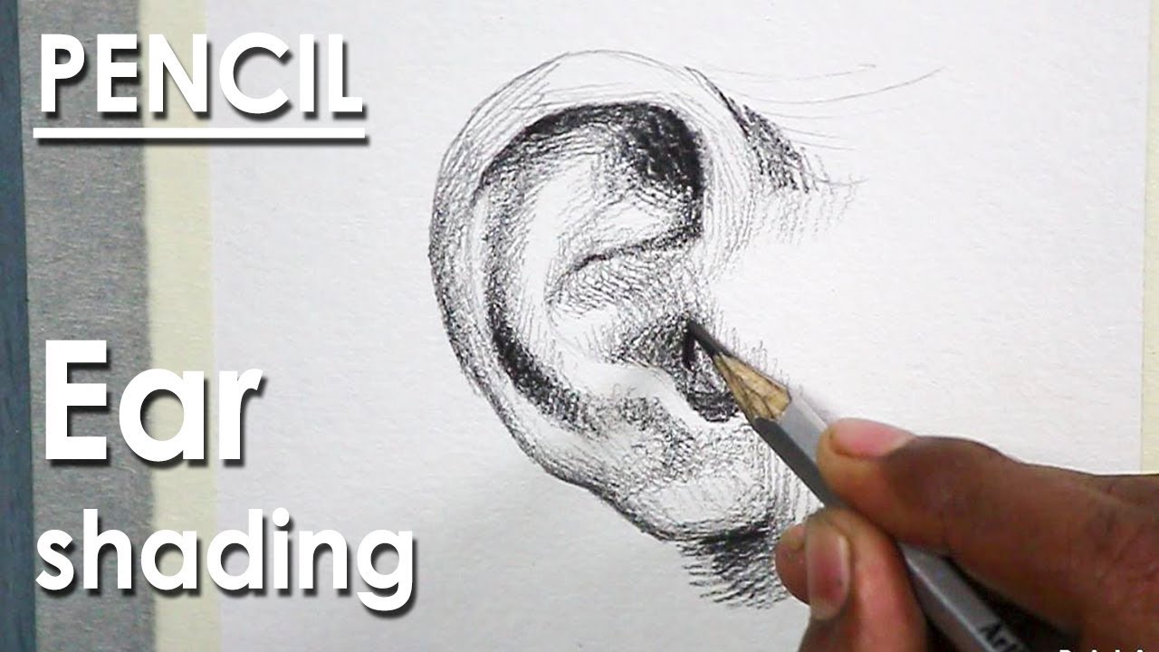 How to Draw A Realistic Ear in Pencil step by step - YouTube