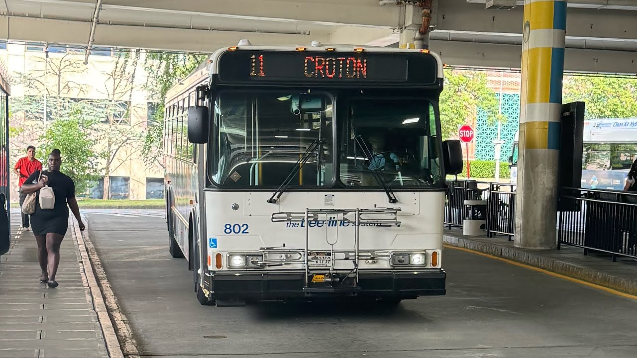 2008 Beeline Bus Orion 5 Suburban Bus #802 Route 11 from White Plains ...