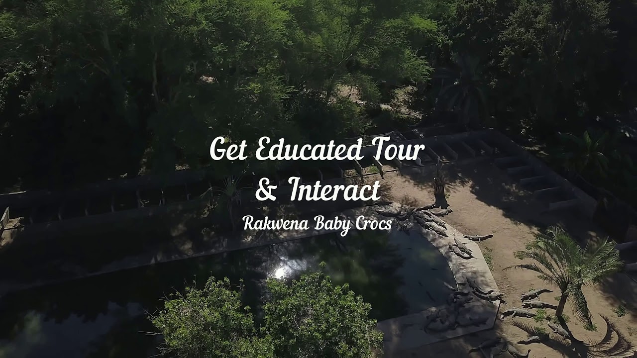 Rakwena Crocodile farm - YouTube