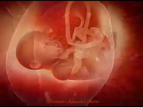 How baby is born - YouTube