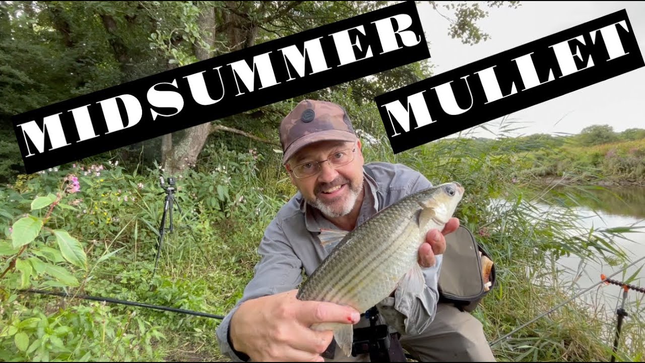 Mullet Fishing - Midsummer Mullet Fishing Mayhem! | Ledgering and ...
