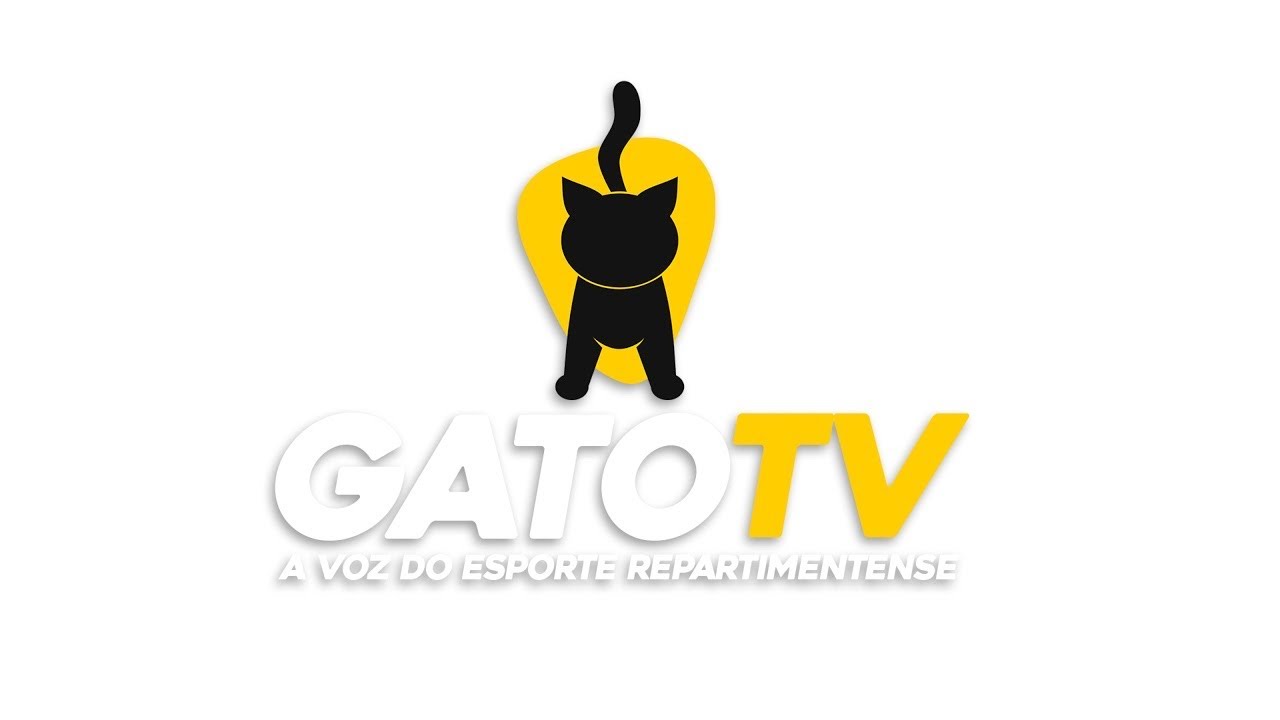 Transmissão ao vivo de GatoTV - YouTube