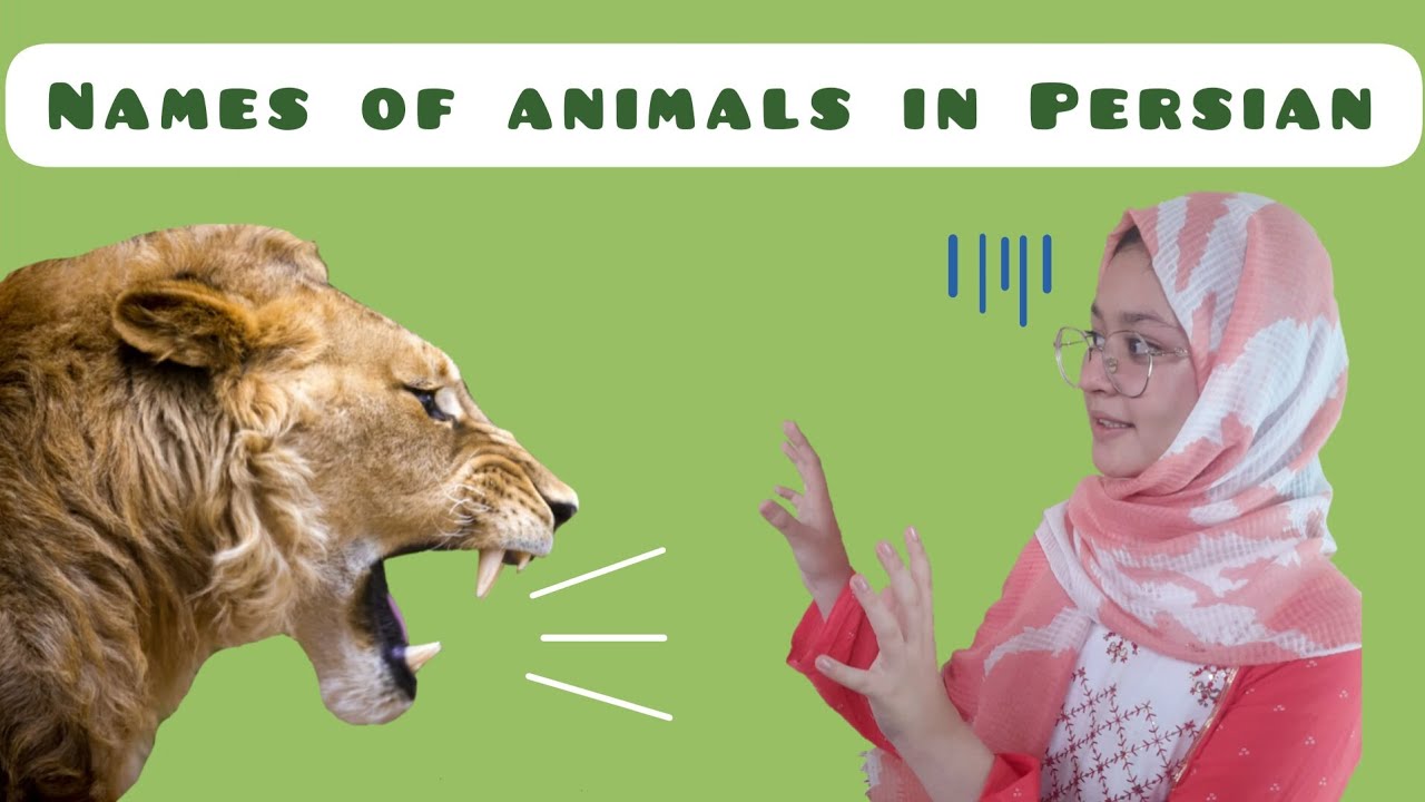 Learn Persian - Name of Animals in Farsi. जानवरों के नाम फारसी भाषा में ...