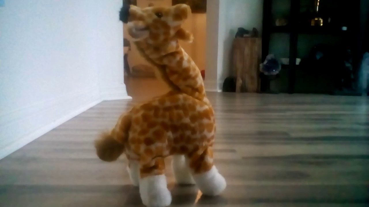 G. G. Giraffe Preview - YouTube