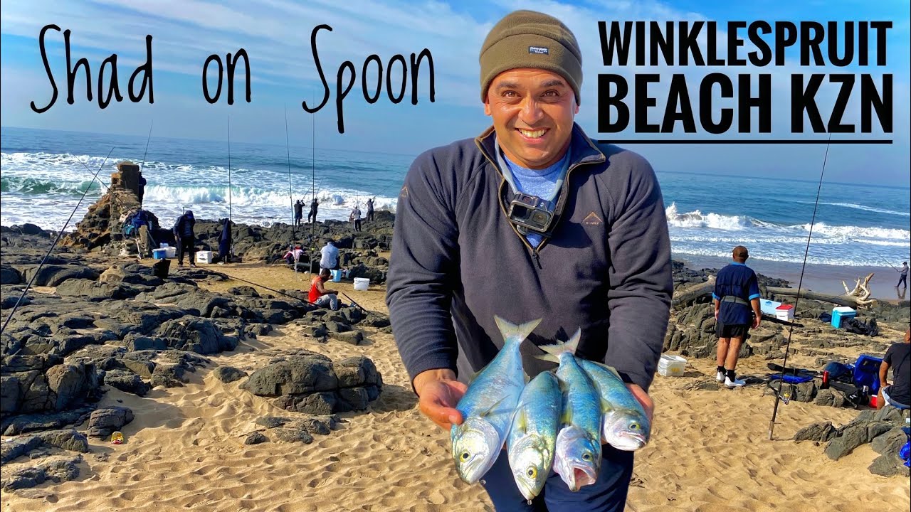 Catching Shad on Spoon at Winklespruit Beach - Fishing in Durban KZN ...