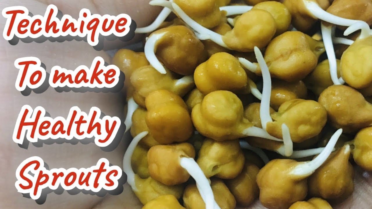 How to make sprouted Chickpeas | Simple Technique to get Healthy ...