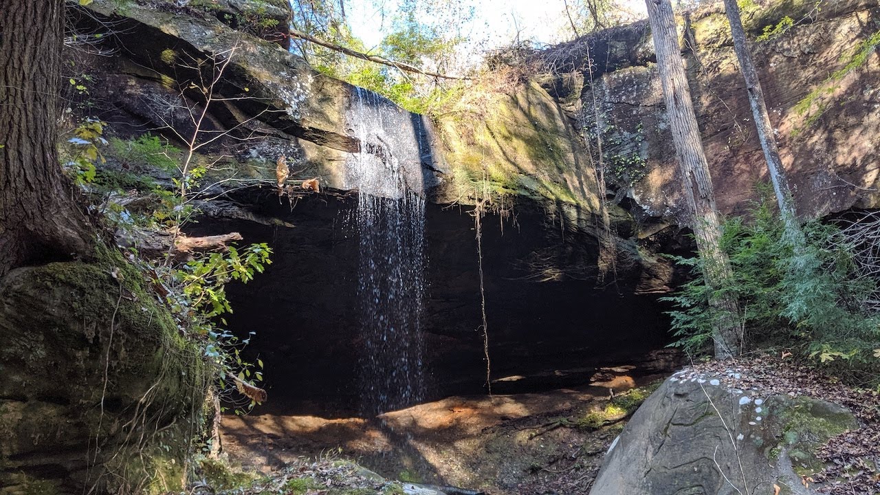 Sipsey Wilderness Off Trail Hike - YouTube