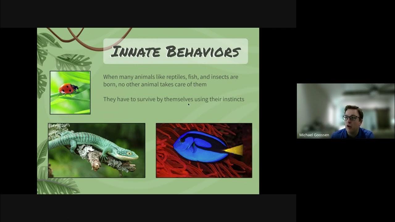 Unit 9 Inherited Traits vs. Learned Behaviors (9.5) - YouTube