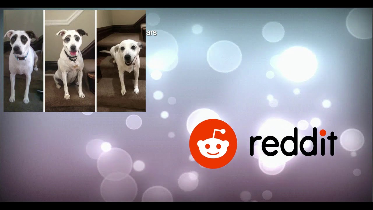 Last Week Reddit Tonight 3/9/2020 - YouTube