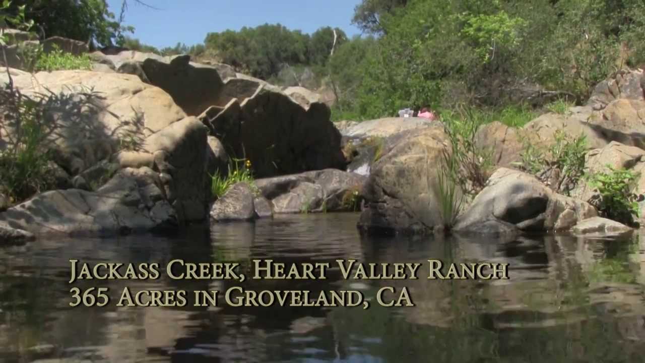 Gold Panning in Jackass Creek, Groveland, CA - YouTube