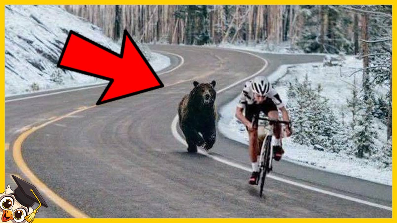 15 Fotos, die ECHT oder FALSCH sind? - Teil 2 (Entscheidet selbst ...