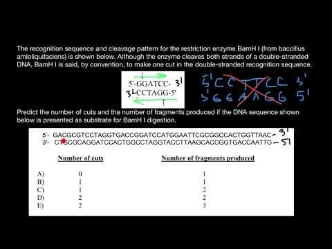 What is palindromic sequence? - YouTube