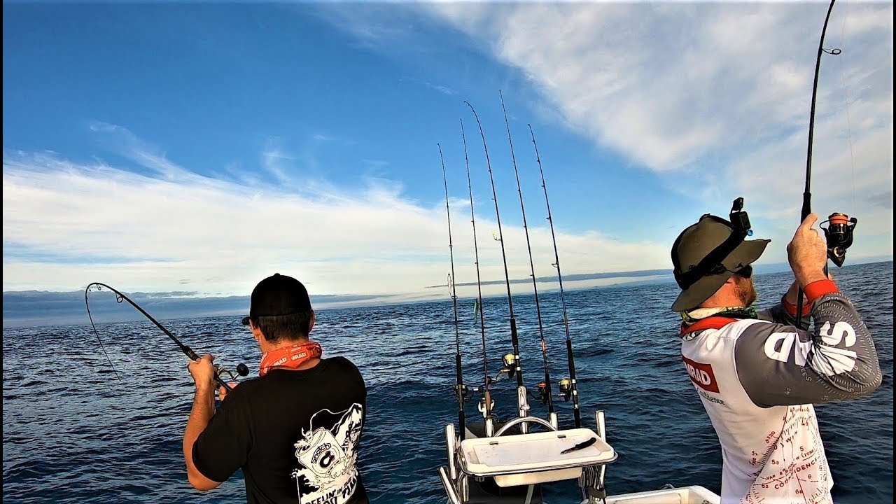 The Fish-Off with Shaun Whale | Part 1 - YouTube