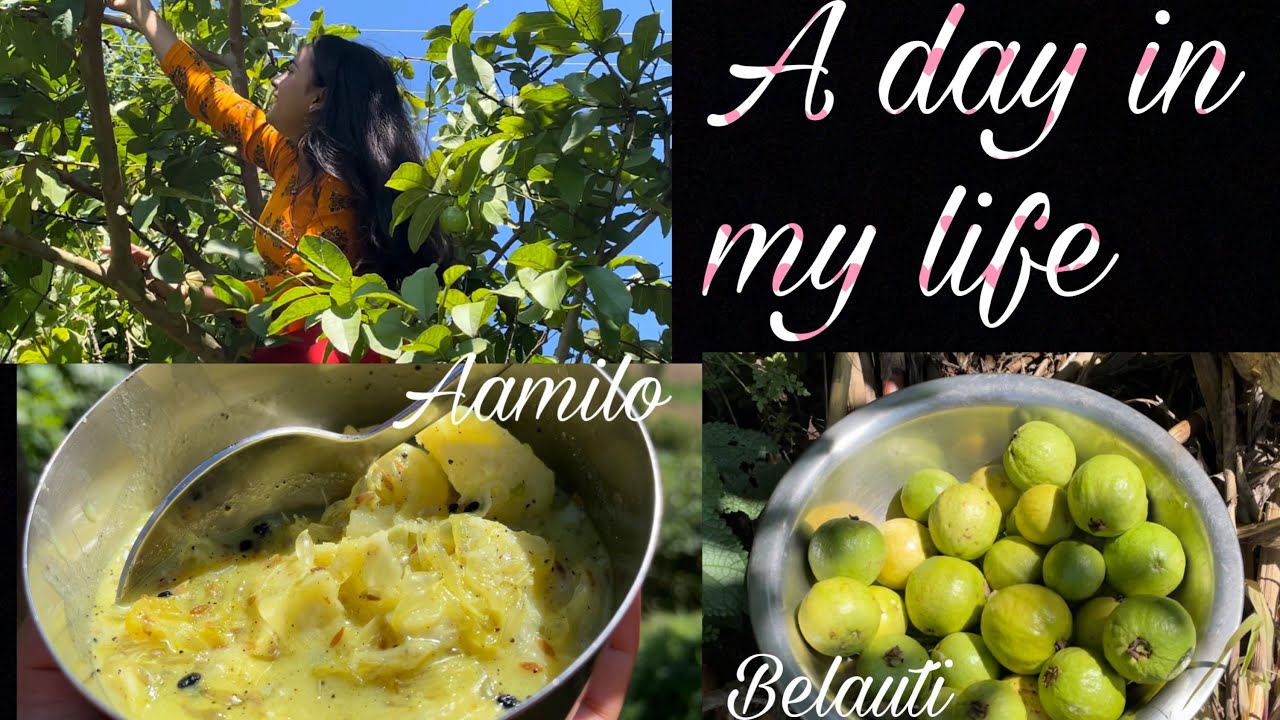 A day in my life in Gaau (gulmi) - YouTube