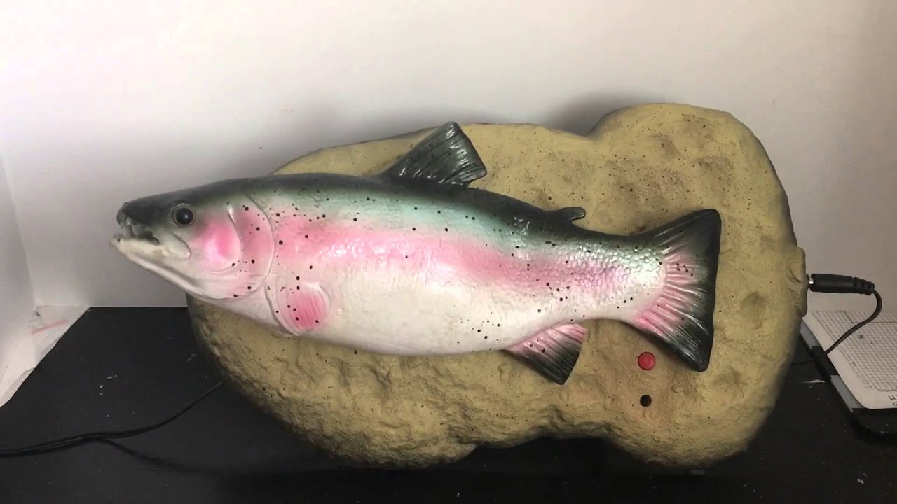 Travis The Trout - YouTube