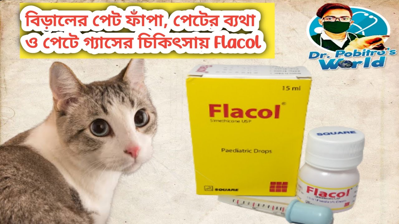 বিড়ালের পেটে গ্যাস হলে করণীয় || Flacol Drop (Simethicone) use in Cats ...