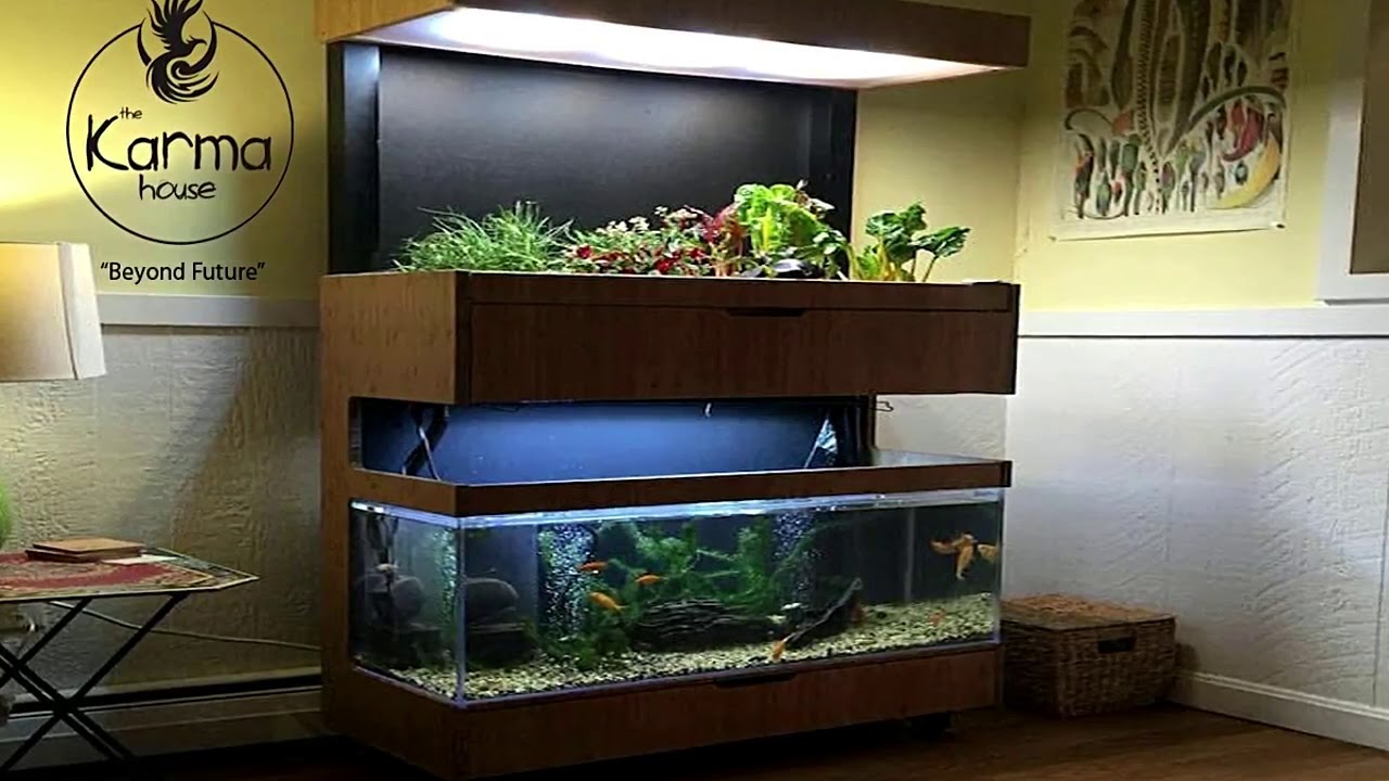 Modular Indoor Aquaponics System | Indoor Aquaponics | The Karma House ...