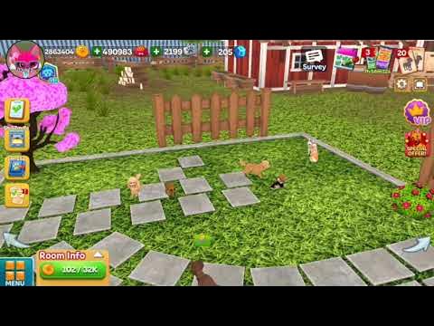 Dog town game play - YouTube