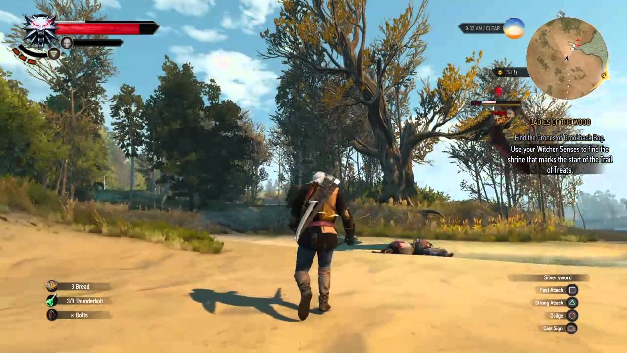 The Witcher 3: Wild Hunt - dumb fighting my silver sword... - YouTube