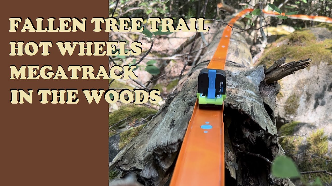 We Built a GIANT Hot Wheels Track in the Woods! - YouTube