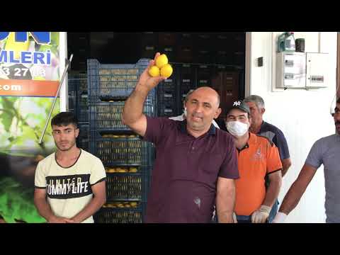 Limon çiftçisinden;Tarım Bakanı Pakdemirli’ye;”O bıyığına baktığın gibi bizde baksan”