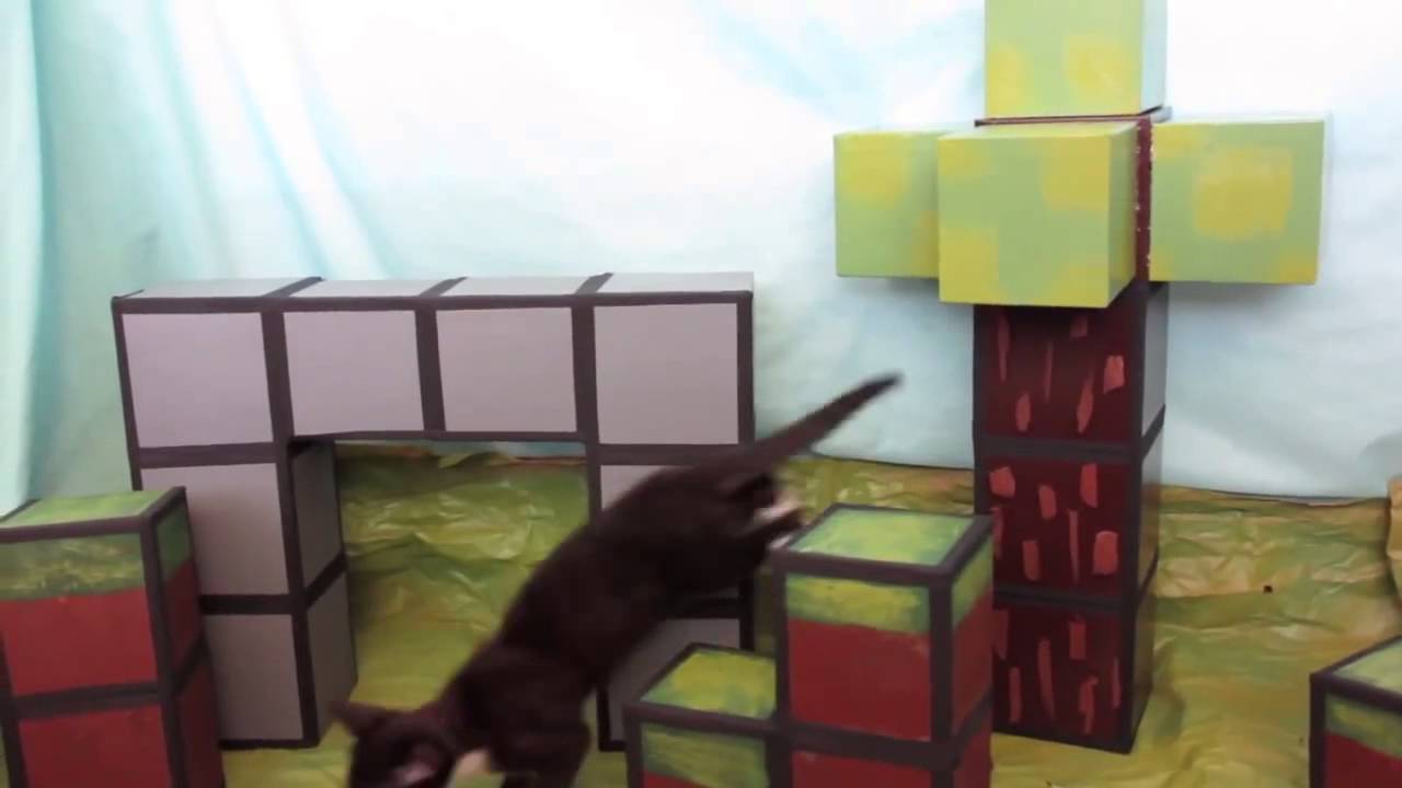 Minecraft in Real Life Minecraft Kitten in Real Life!!! ♥PopularMMOs ...