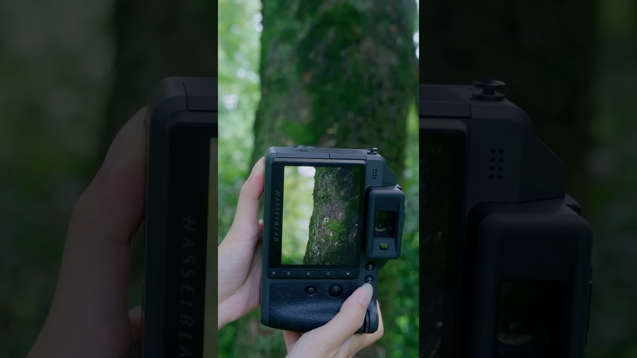 100MP Macro World Through Hasselblad X2D II 100C