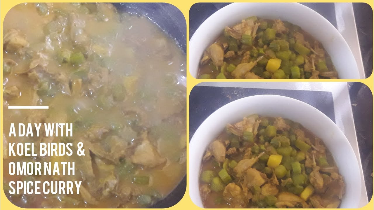 How to make koyel pakhi#spicy#recipe#quail curry& omornath(data)recipe ...