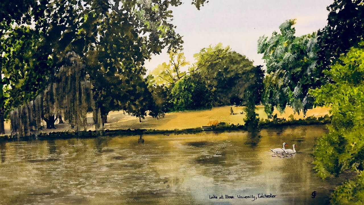 Watercolour Painting/Wivenhoe Park/Landscape/Colchester University's ...