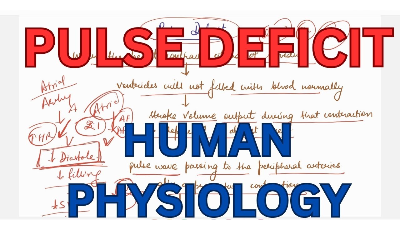 Pulse deficit, CVS Physiology Telegram link https://t.me ...