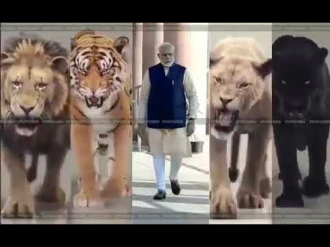 Narendra Modi New Look like A lion - YouTube