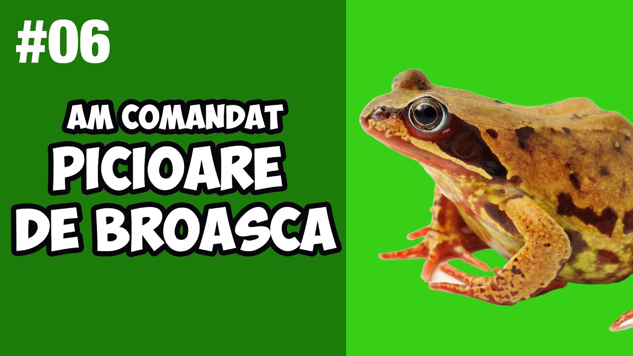 PUI de BALTA sau PICIOARE de BROASCA? | Chefi la furculite #6 - YouTube