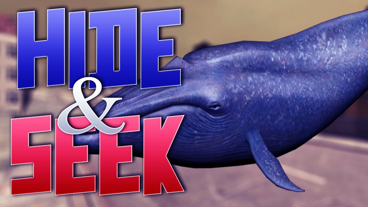 GMOD Hide & Seek | Funny Moments | Whale Making Love? - YouTube