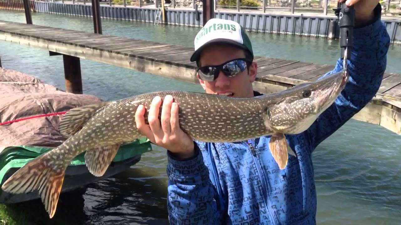 Big 8-9 Pound Northern Pike!!! - YouTube