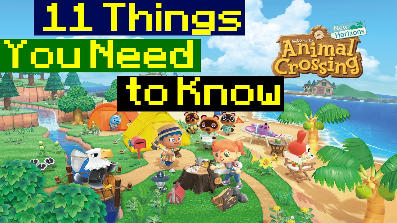 Animal Crossing Things to Know - YouTube