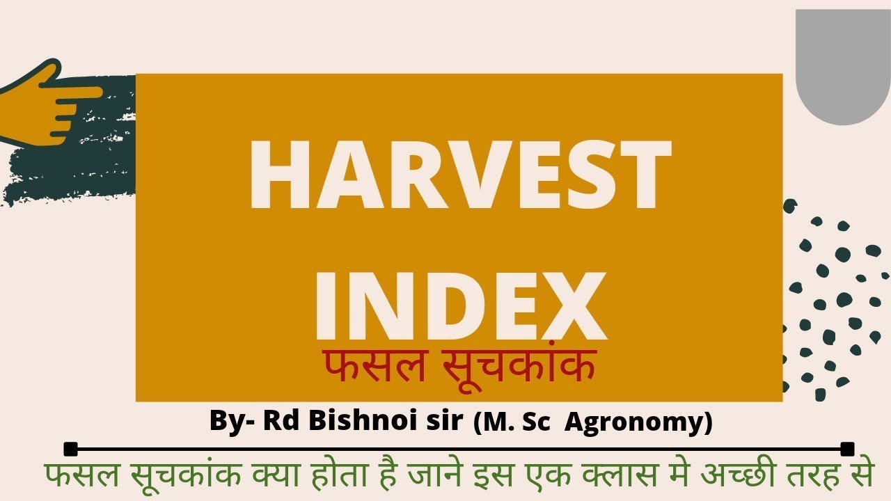 Harvest Index (फसल सूचकांक) Agronomy - YouTube