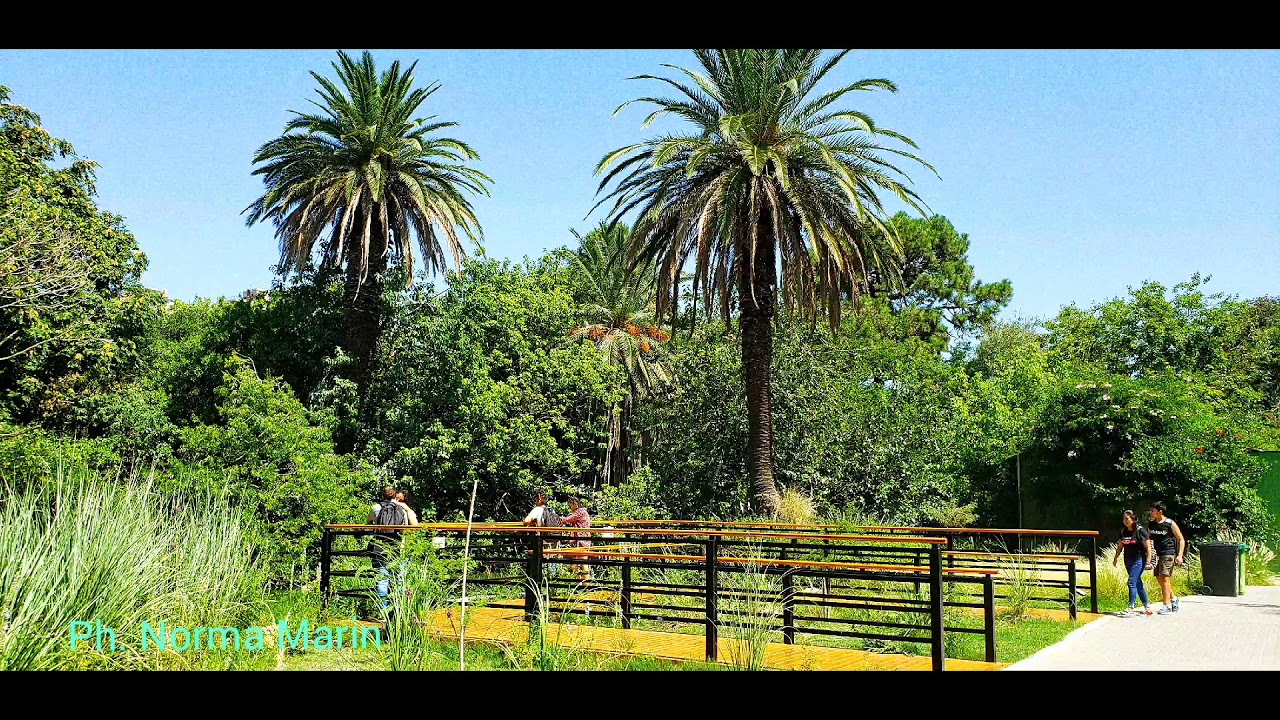 Senderos "Eco Parque" Palermo - YouTube