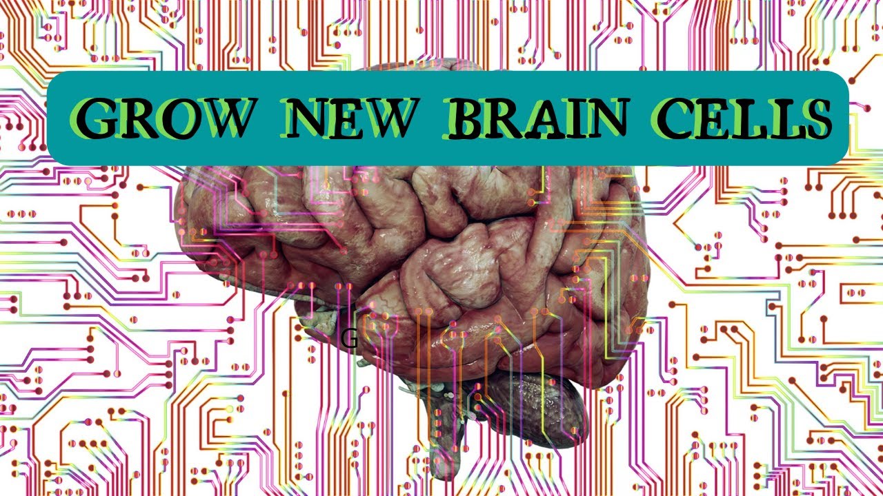 Quick Tip For Stimulating Growth Of New Brain Cells - YouTube