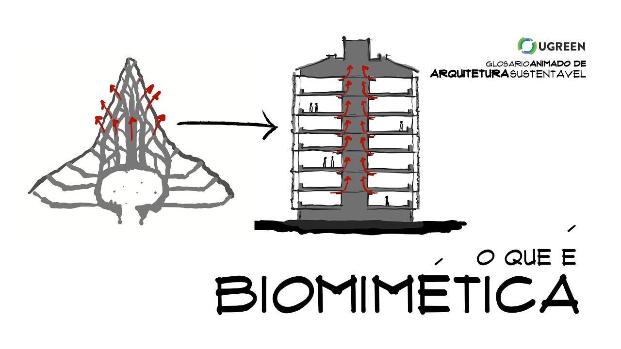 Como Funciona a Biomimética - Glossário Animado de Arquitetura ...