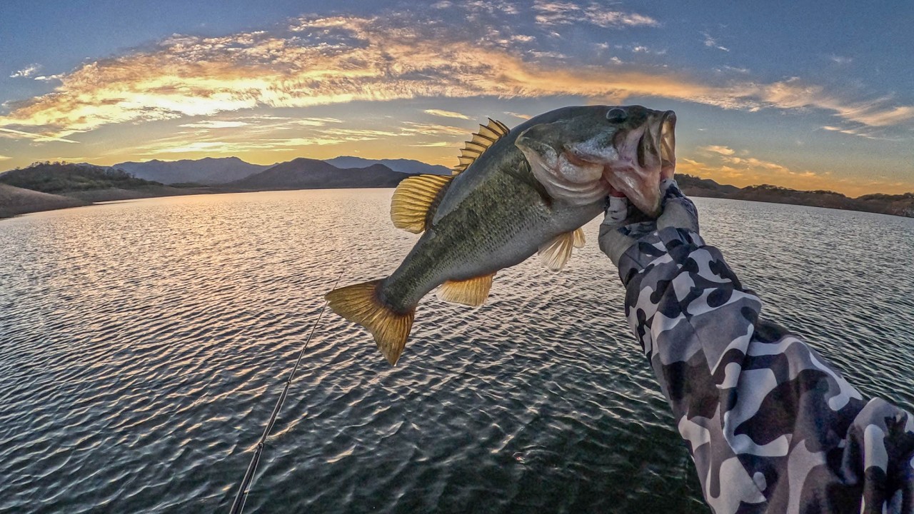 Baccarac Mexico Bass Fishing 2/20/26 Day 3 - YouTube