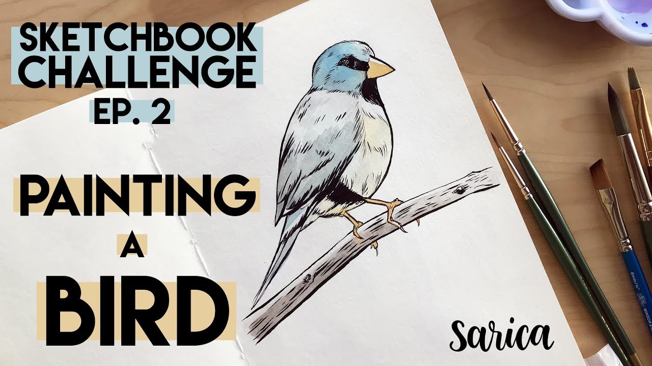 Sketchbook Challenge 02 · Painting A Bird (Shaft-Tailed Finch) - YouTube