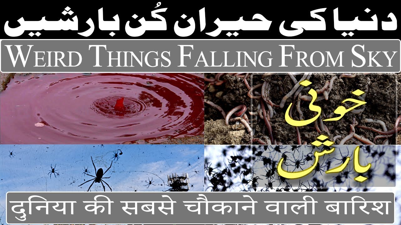 Weird Things Falling From Sky | Strange Things In The World In Urdu ...