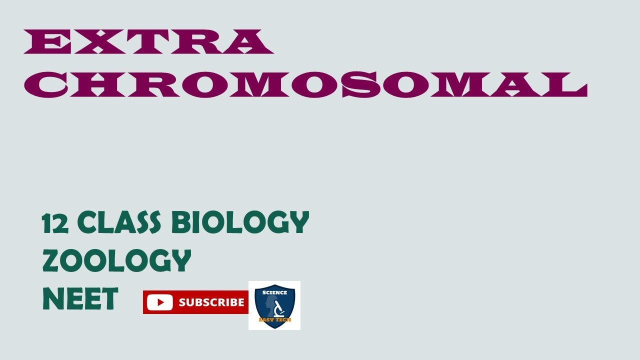 Extra chromosomal / cytoplasmic inheritance | Zoology class 12 ...