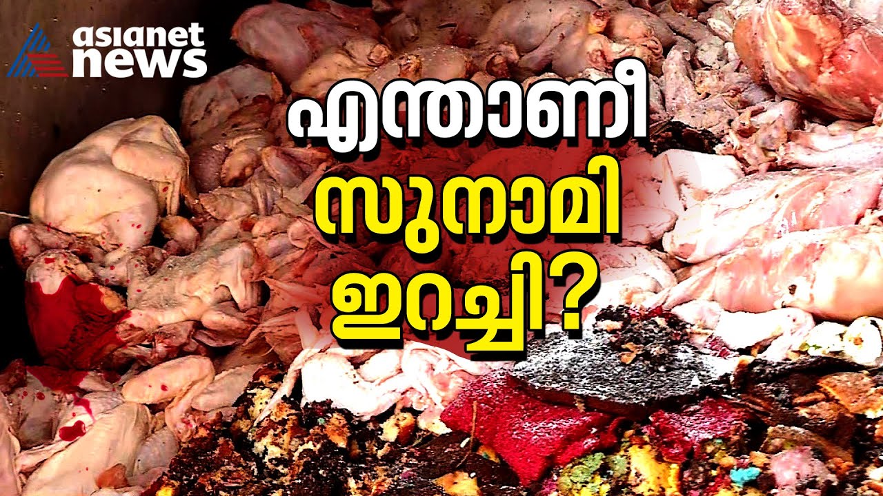 എന്താണ് വാർത്തകളിൽ നിറയുന്ന സുനാമി ഇറച്ചി? | Tsunami Meat - YouTube
