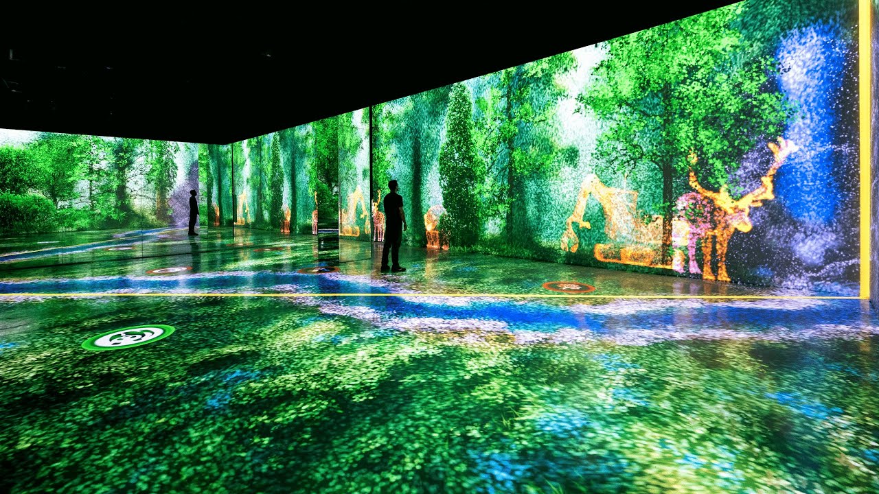 Arcadia Earth and WWF in Toronto / Immersive Installation - YouTube