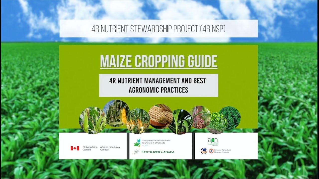 A comprehensive MAIZE CROPPING GUIDE: The 4Rs of Fertilizer Use ...