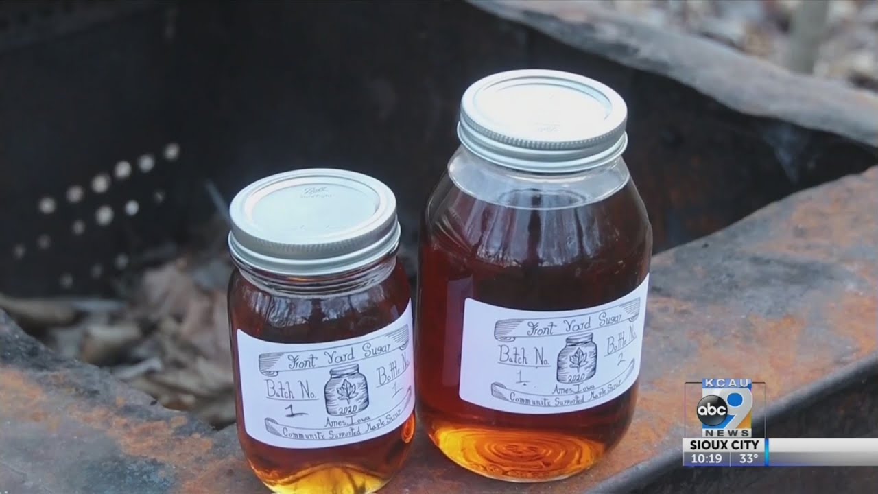 Dry Weather Hurts Syrup Production - YouTube