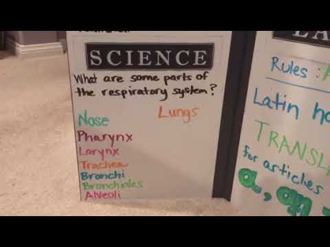 CC Cycle 3 Week 10 Science (Jackson 5) - YouTube