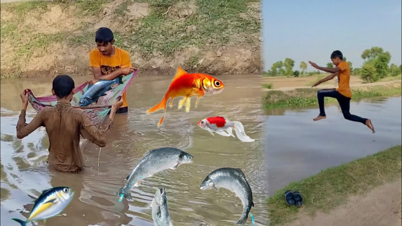 Aj Hum Fish 🐟 Pakrny Gye 😱 || How to Caught Fish || Israr Ka Zoo - YouTube