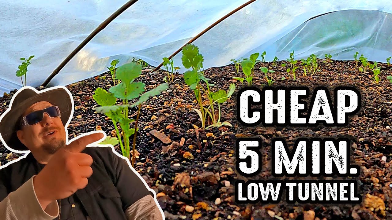 Simple DIY Low Tunnel Plant Protection Greenhouse Build! - YouTube